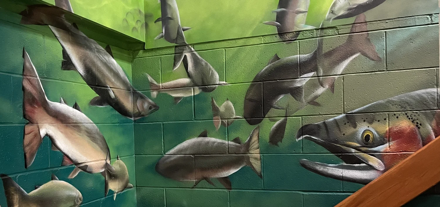 Mural and Art Workshops Vancouver — Miska Creative Society