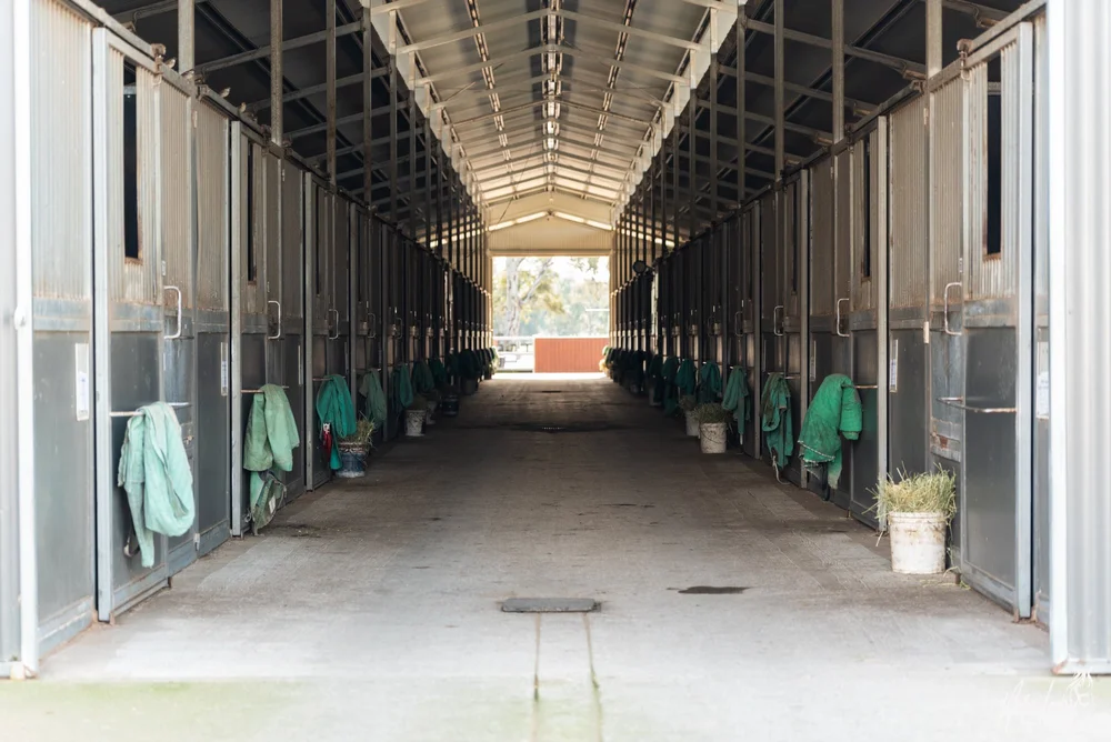 Stabling — Lindsay Park Racing