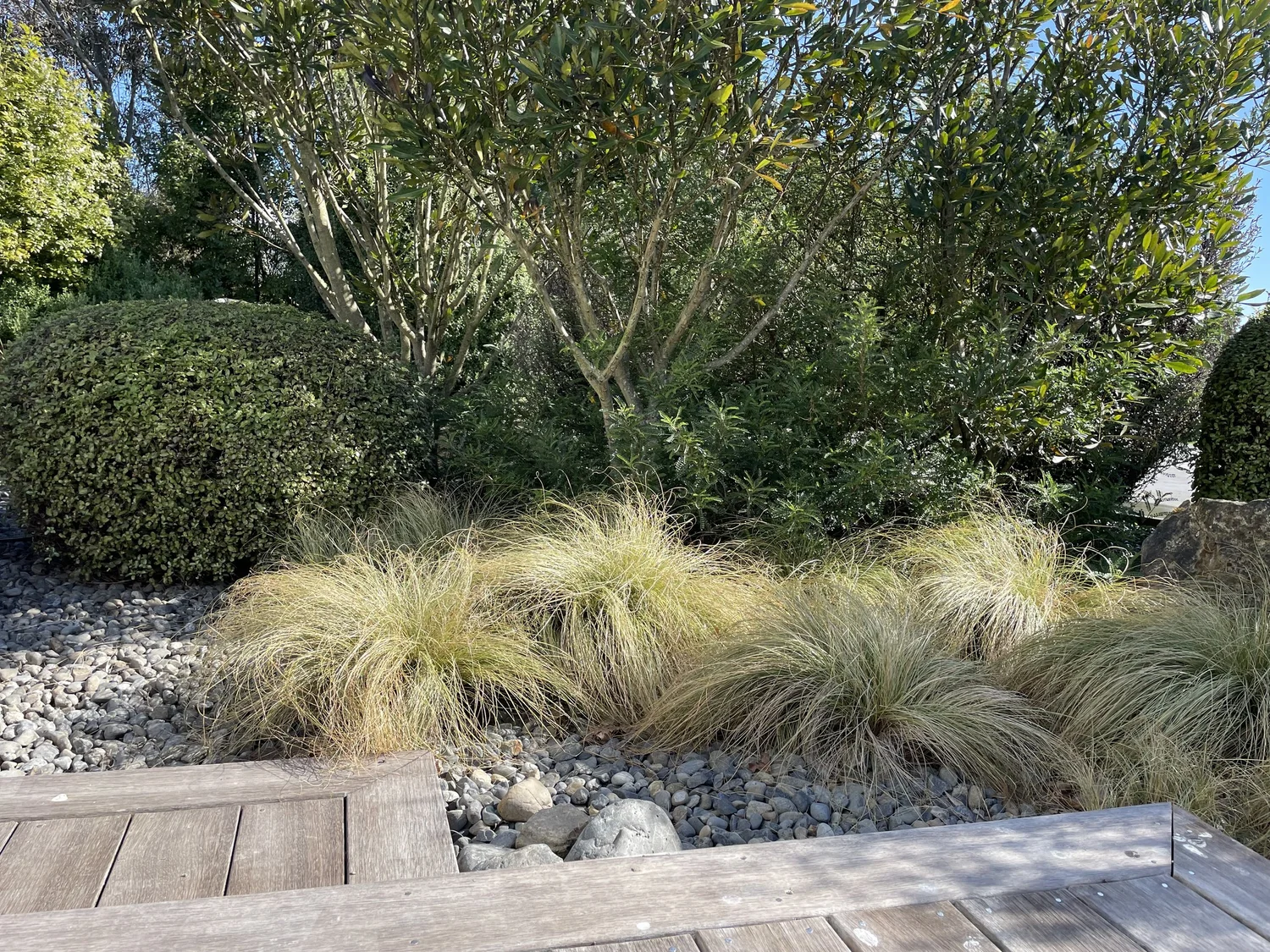 Wairarapa Landscape Garden Services | EarthScape Landscaping