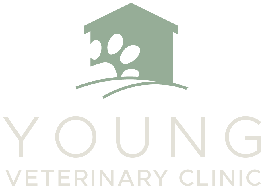 Young Veterinary Clinic