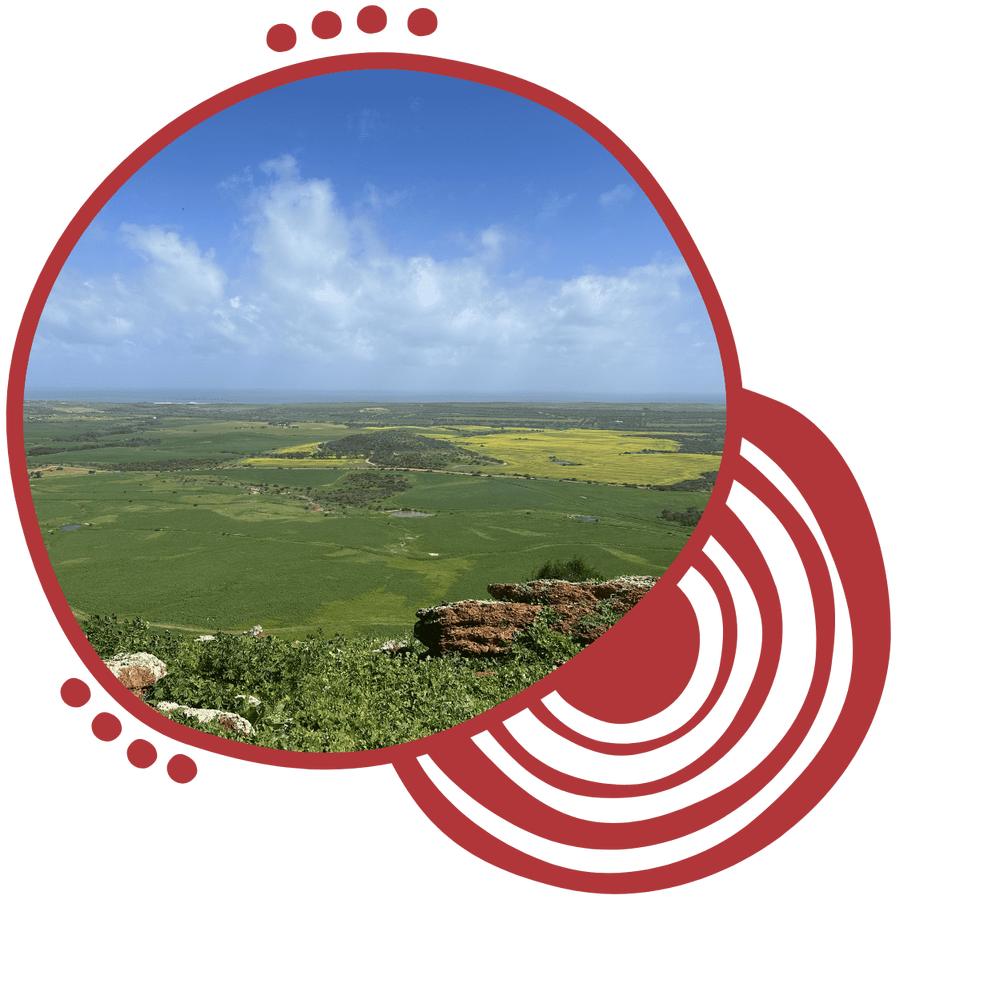 Yamatji Land Estate (YLE) | Discover Land Opportunities Today — Yamatji ...