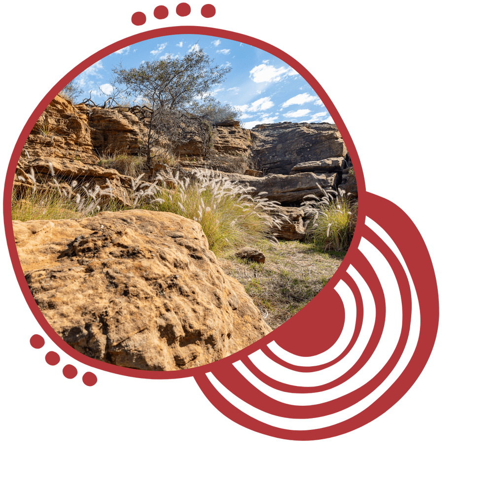 Yamatji Southern Regional Corporation | Empower Indigenous Future Today