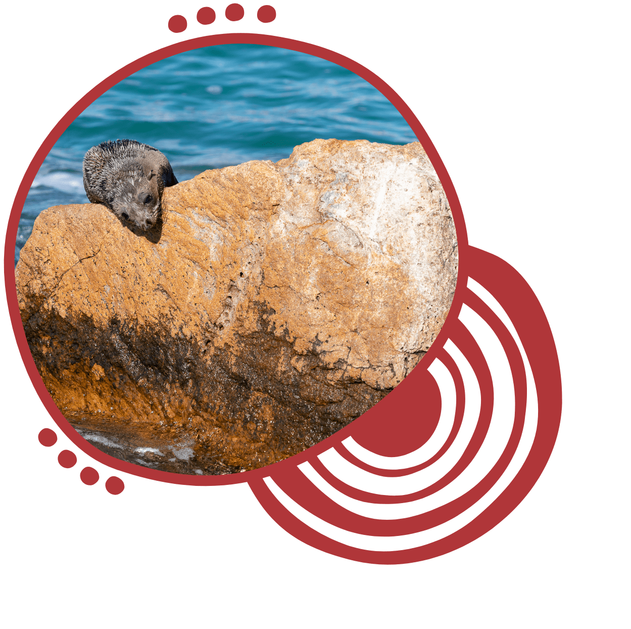 Sea Country Indigenous Protected Area | Protect Indigenous Marine ...