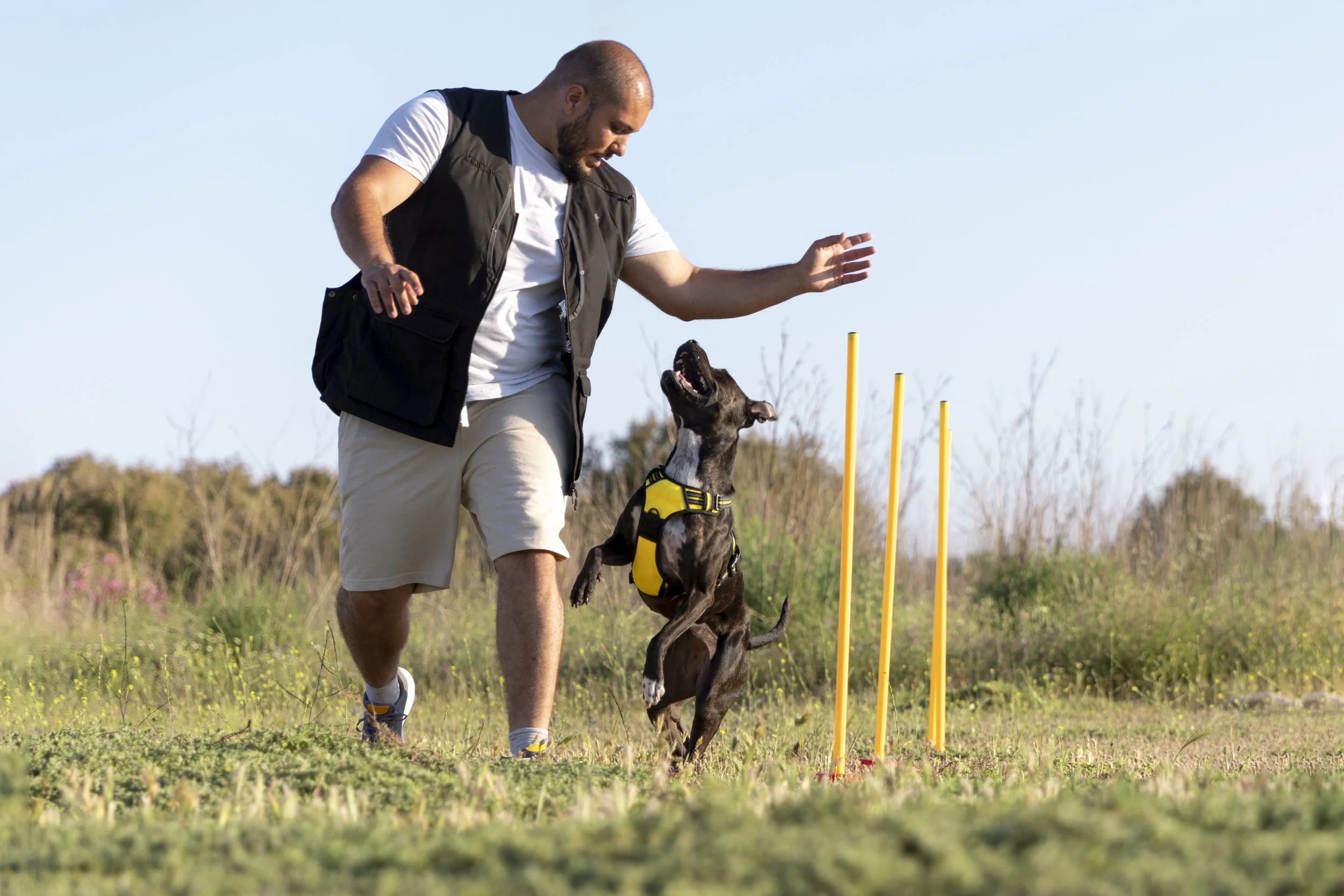 TRICKS FOR FUN — CANINE HOOPERS
