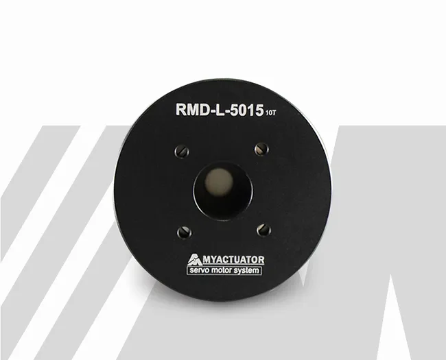 RMD-L Series — Dings Motion USA