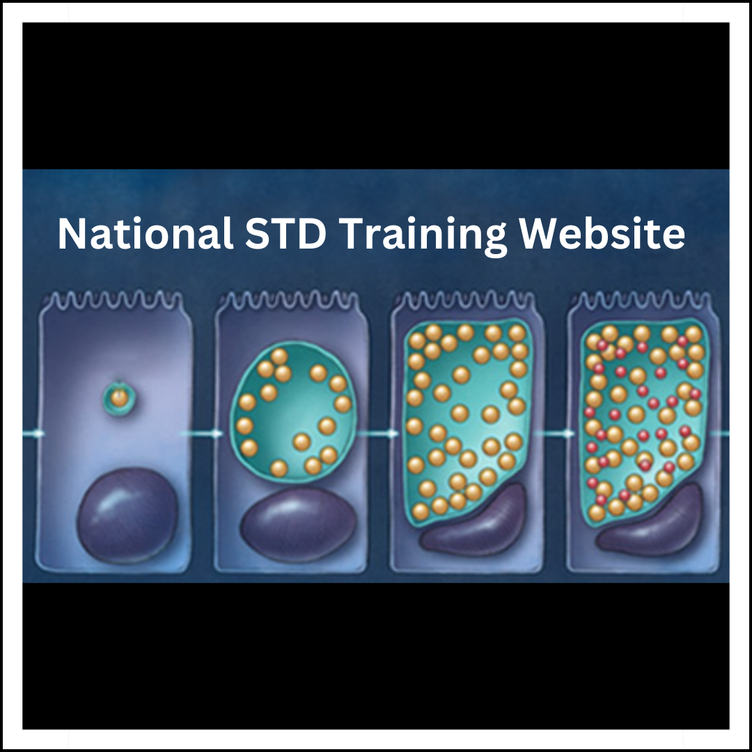 For Clinics — The Anal Pleasure and Health Study (Albert Einstein ...