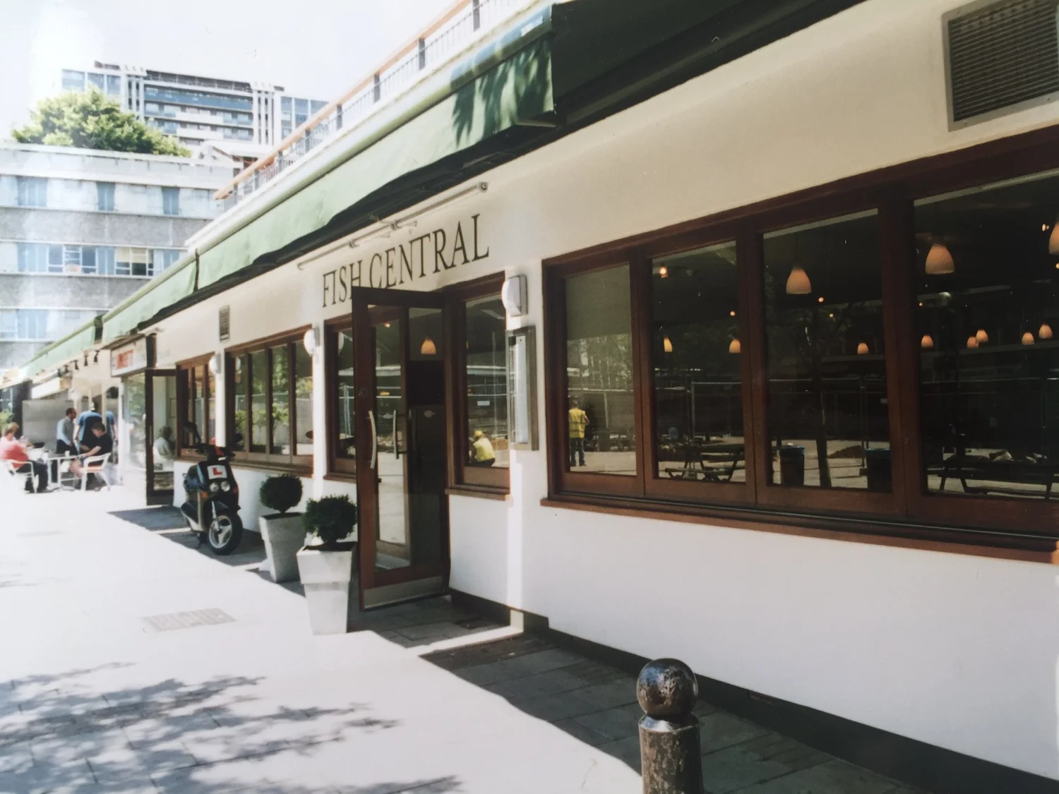 Gallery — Fish Central