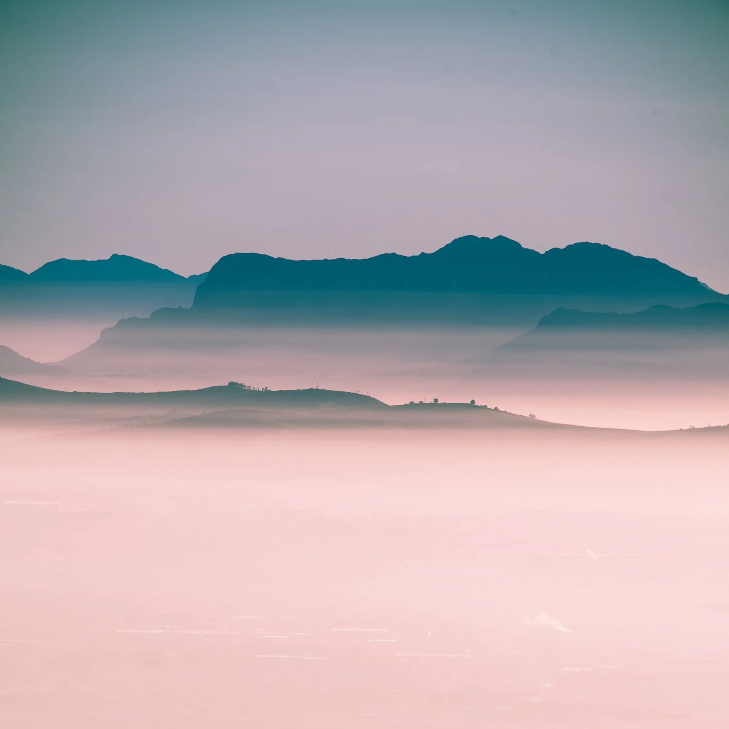 Meet Roxanne Wilm — Raandoom