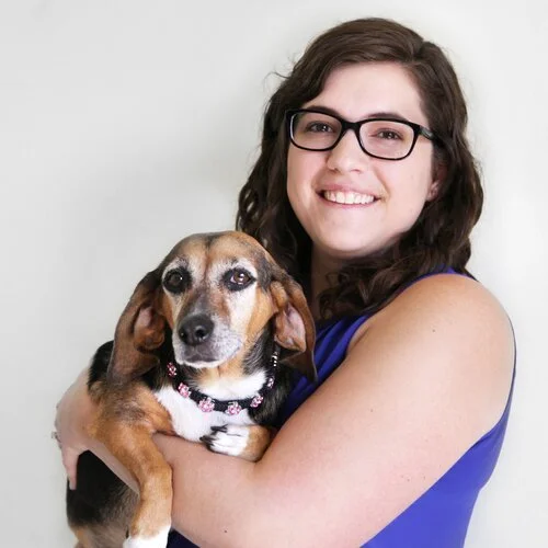 Team — Design Plus Architects