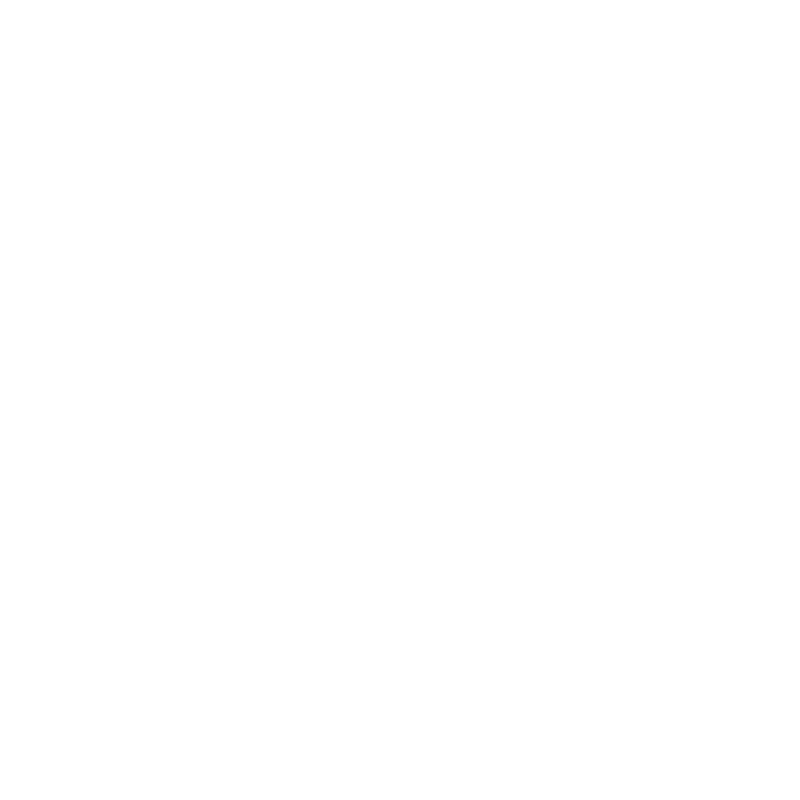 History — Yorkshire Party