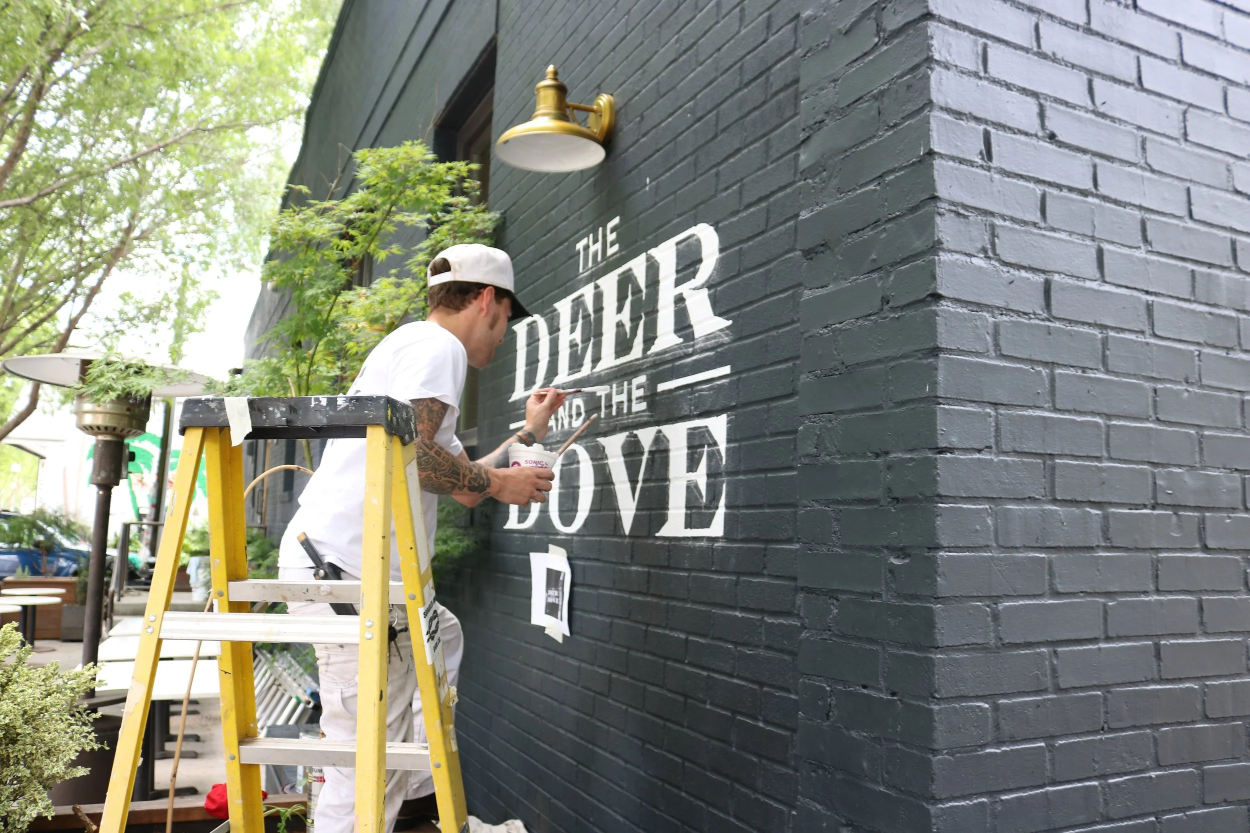 ABOUT — THE DEER AND THE DOVE | BSIDE