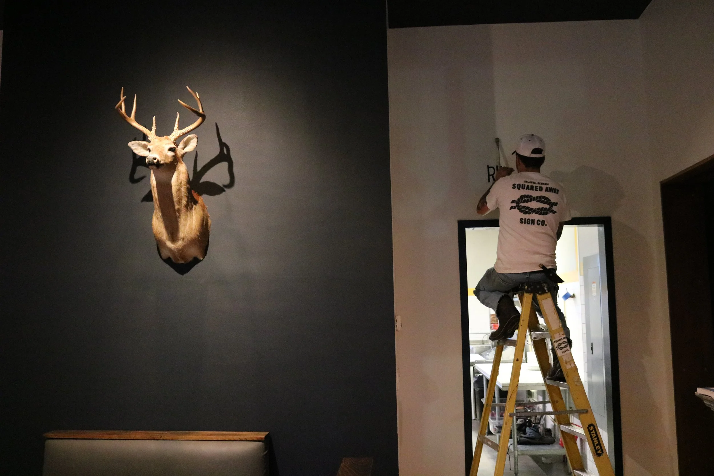 ABOUT — THE DEER AND THE DOVE | BSIDE