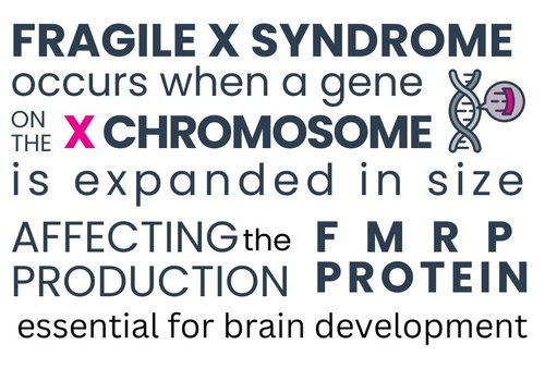 The Science of Fragile X — Fragile X Canada