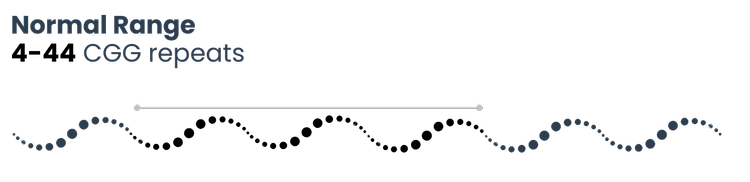 The Science of Fragile X — Fragile X Canada
