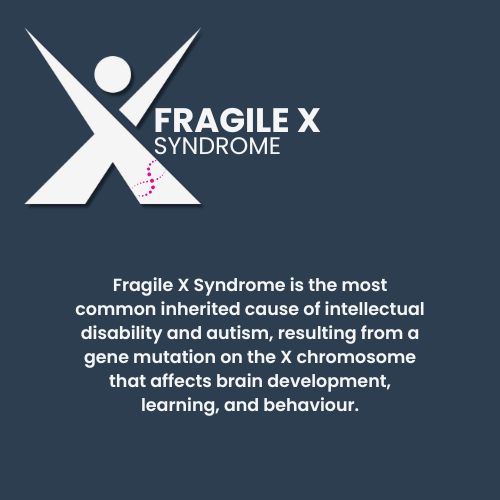 Fragile X Canada I Building Expertise. Inspiring Hope and Possibility