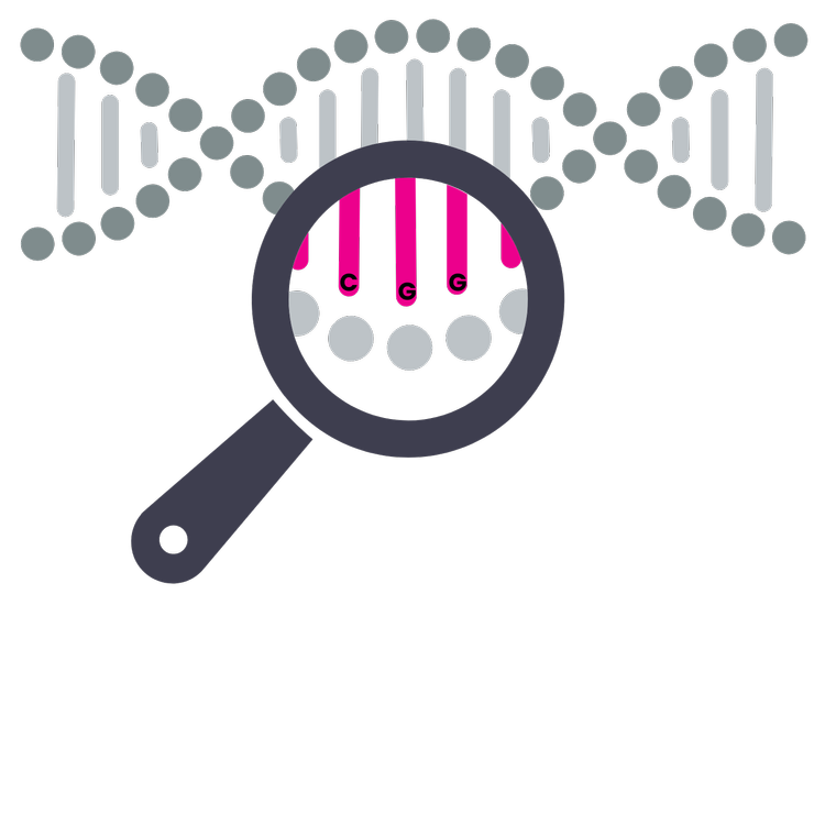 The Science of Fragile X — Fragile X Canada