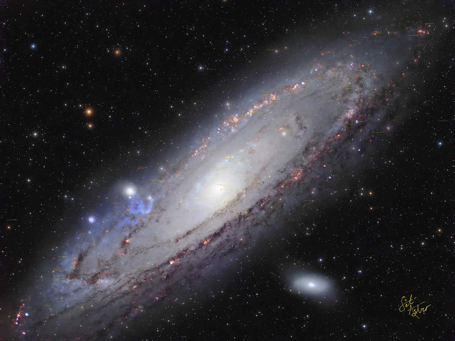 pi-scripts — Seti Astro