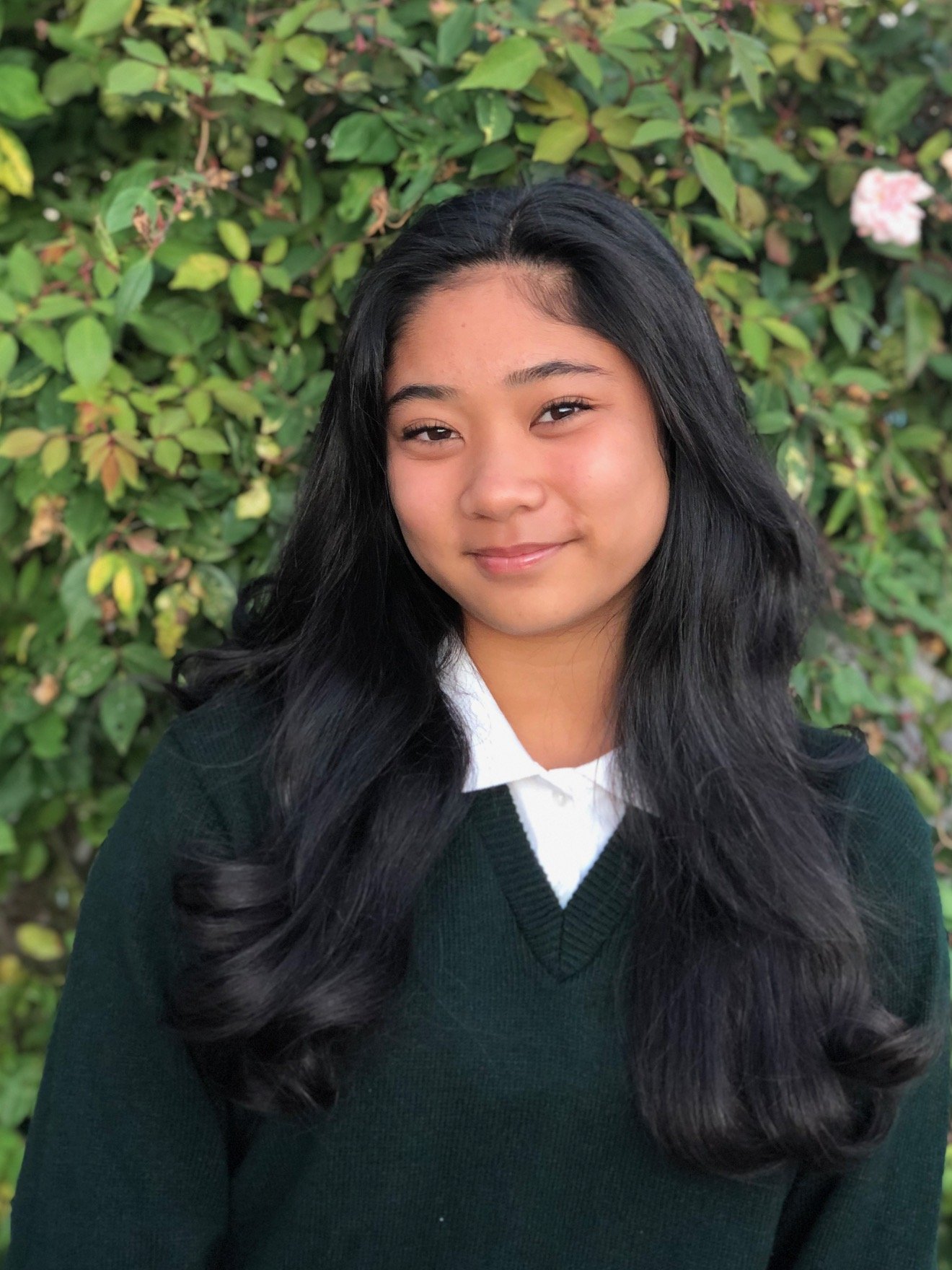 Youth Artists — Bay Area Youth Ballet