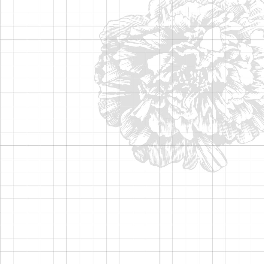 GLASS GOOSE | Bar & Eatery