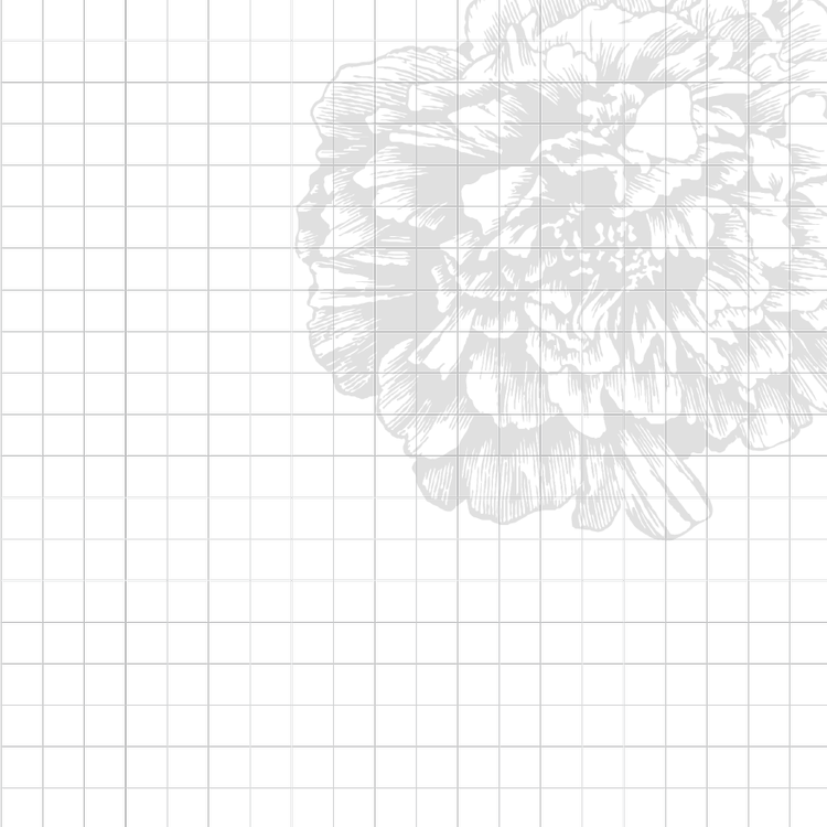 GLASS GOOSE | Bar & Eatery