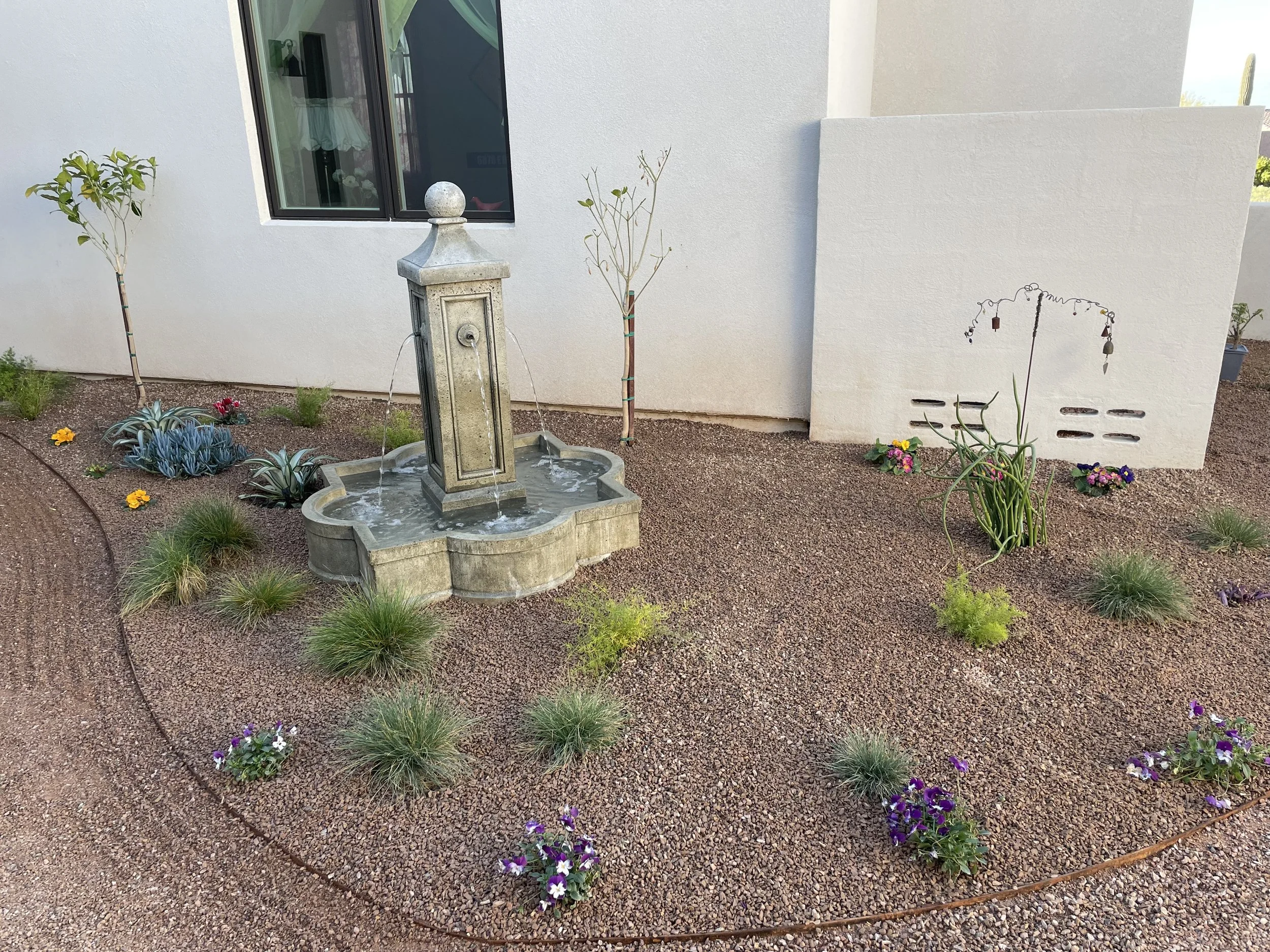 Services — The Desert Root