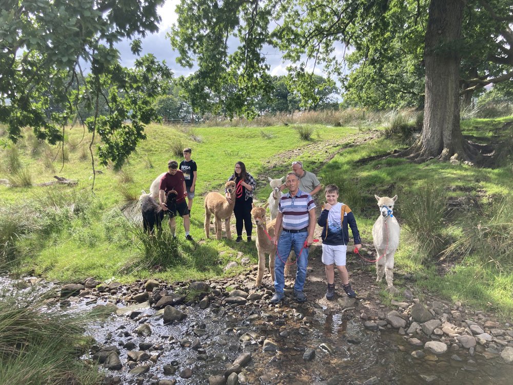 Alpaca Farm: Alpaca walking experience — Meent