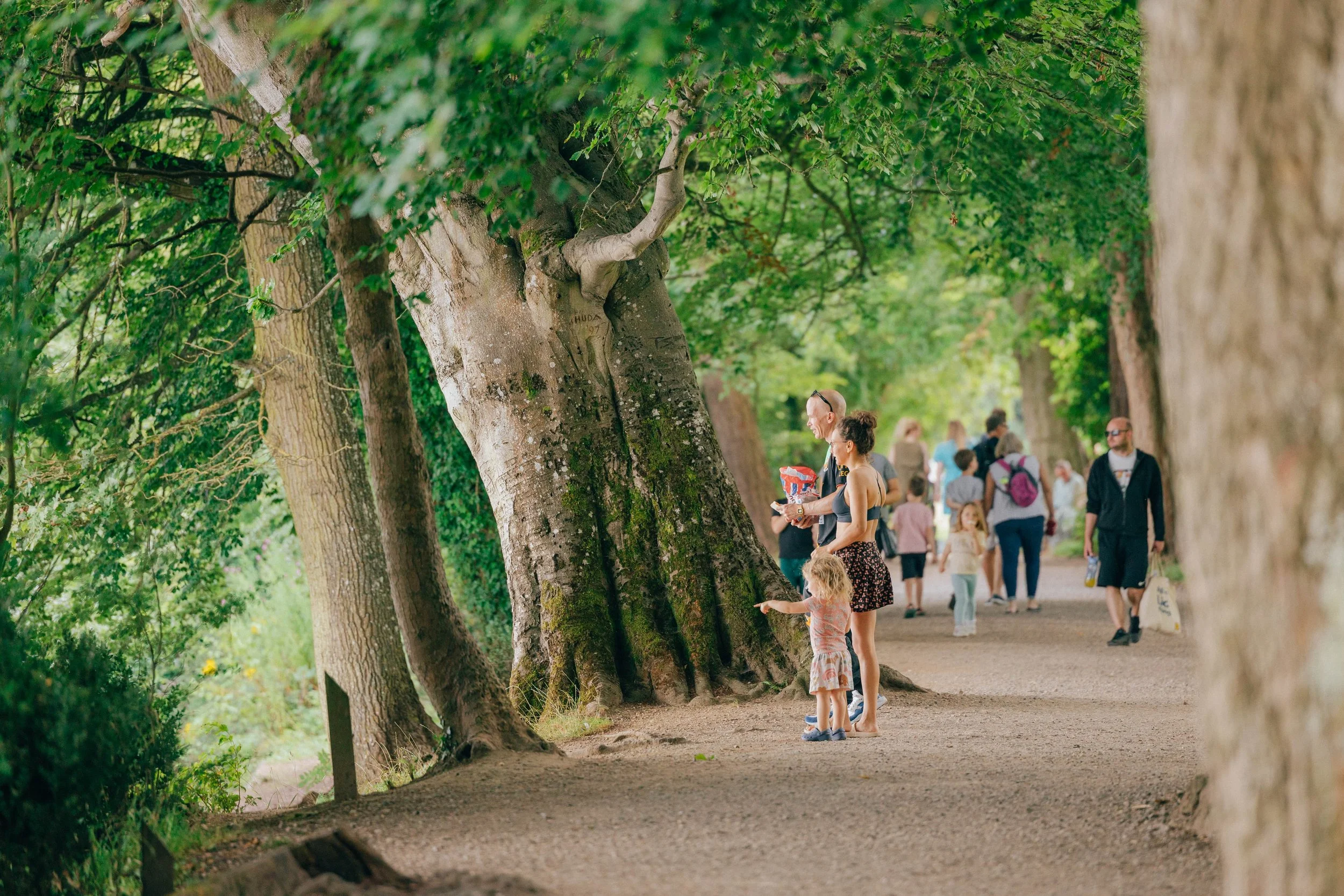 Vision & Values — Swindon Borough Council