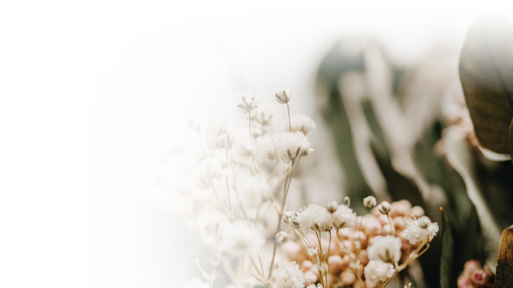 Your Personal Grief Guide: Compassionate Support & Resources for Coping ...