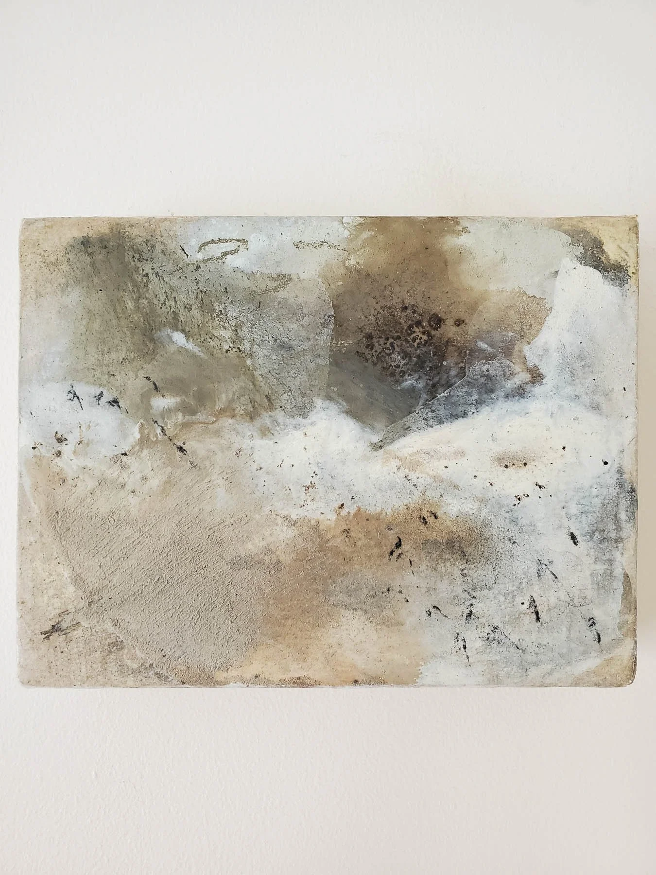 The Traces Of Nature Collection 2022 — Molly Supplee Art