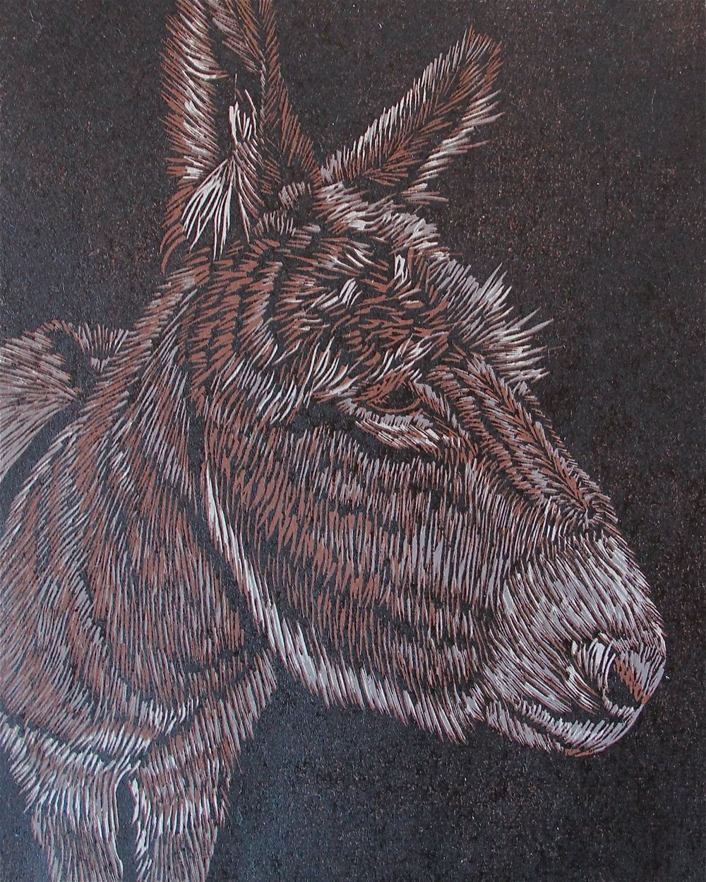 Amy Grogan