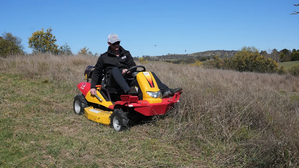 The Razorback — smemowers