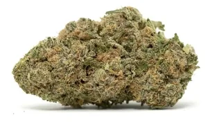 Blue Magoo Strain (Indica) | NJ Recreational Cannabis | Emerald Tea ...