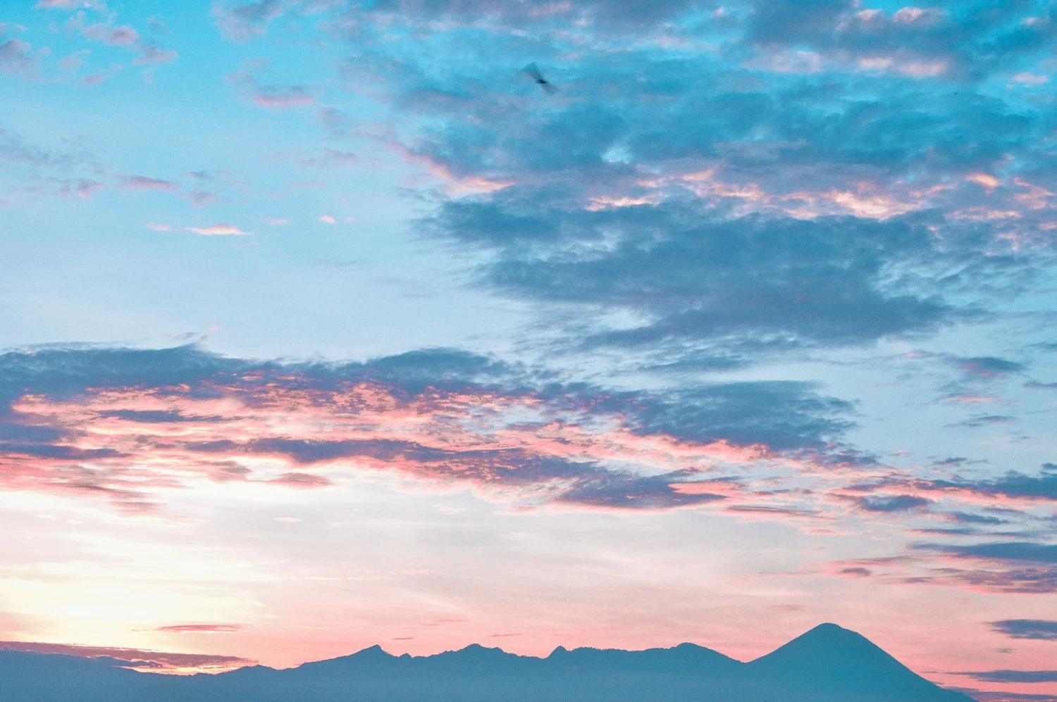 Organizing Colors: How to Style Pink & Blue Together — Organized Jane