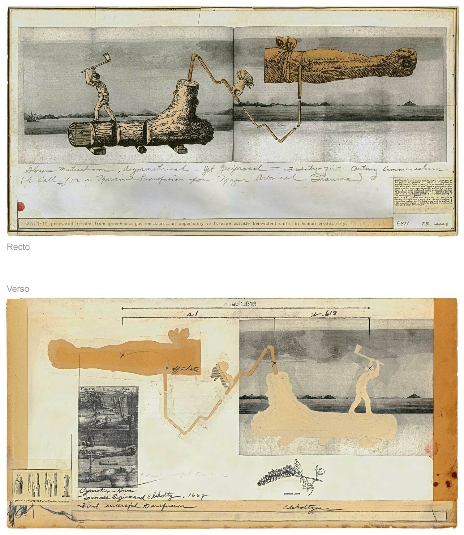 2024 Juried Exhibit — National Collage Society