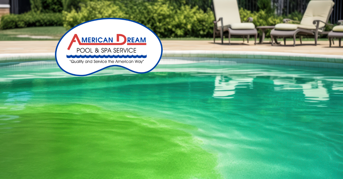 Winter Algae in Northern California Pools: Causes and Quick Fixes ...