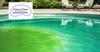 green to clean pool service — American Dream Pool & Spa Service