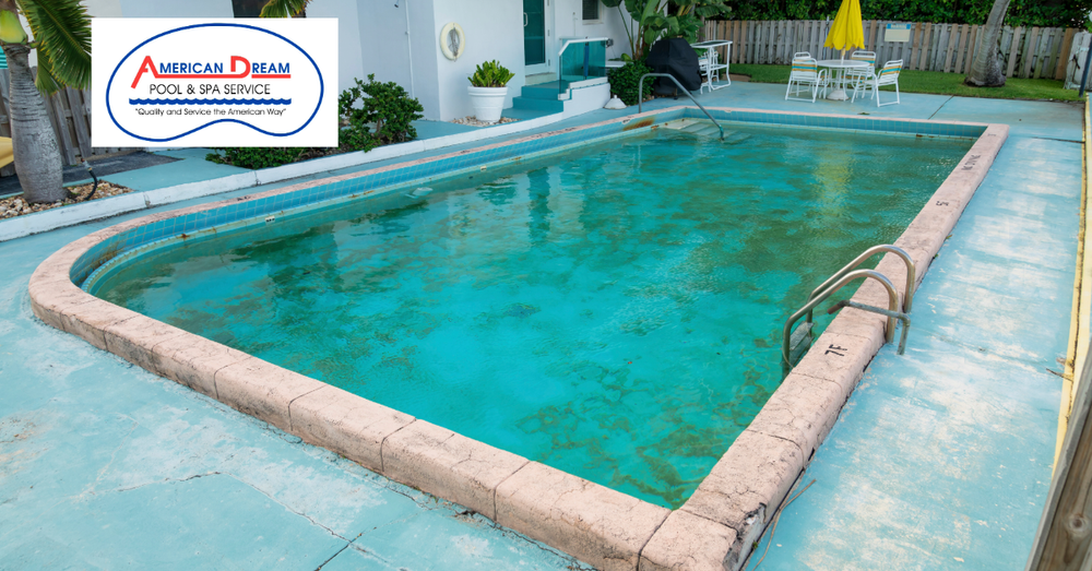How to Prevent Pool Stains and Keep Your Water Crystal Clear in ...