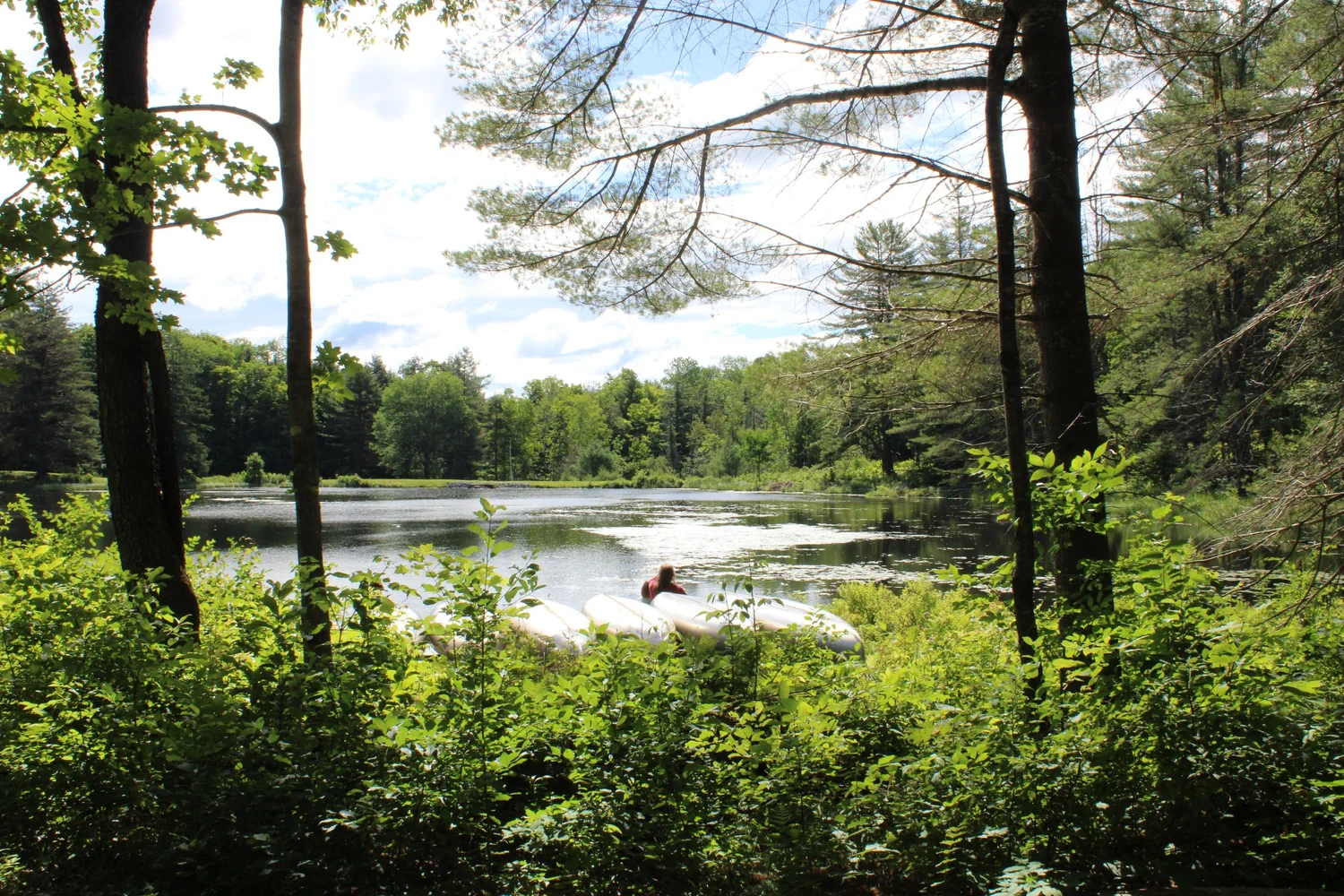 Camp Downer