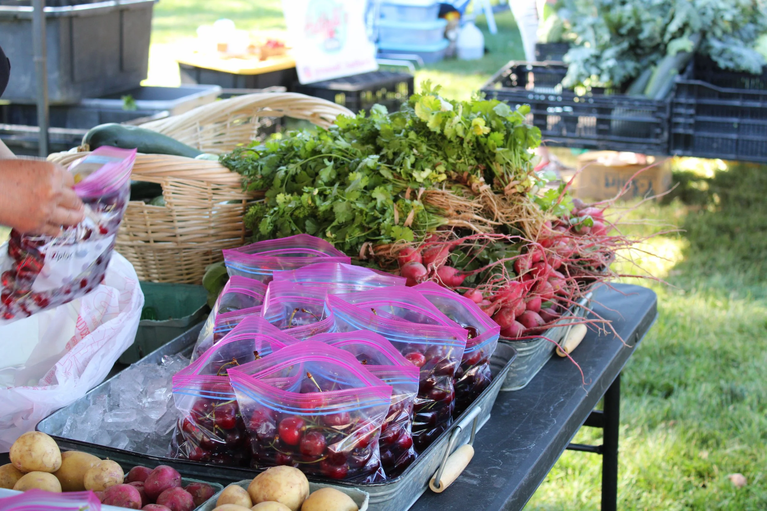 About — Provo Farmers Market