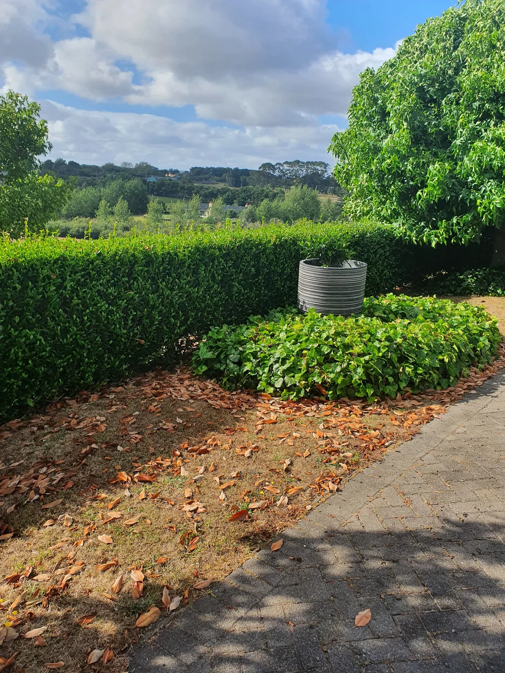 Soft Landscaping — Auckland Landscape Spaces