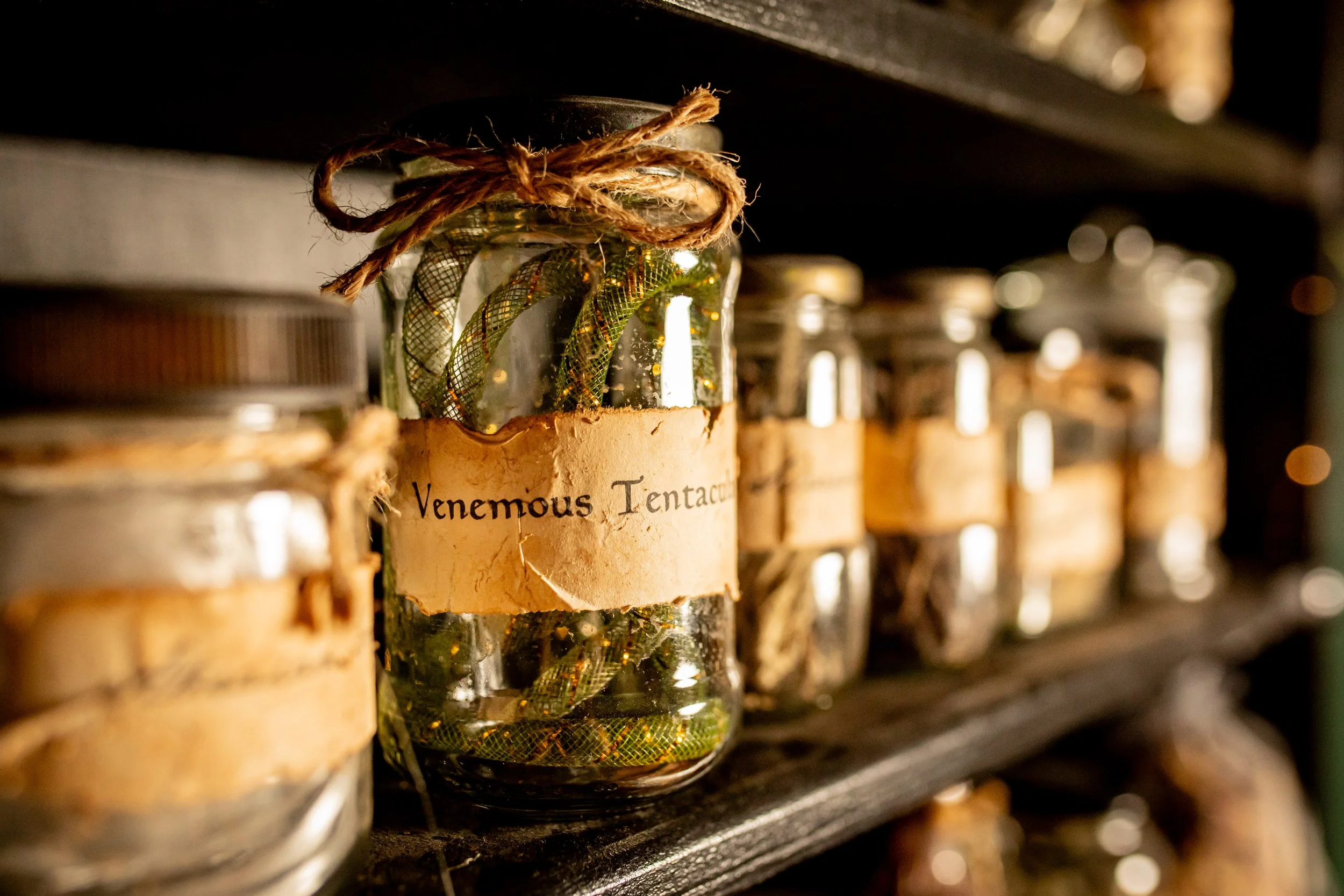 Melbourne's only Fantasy café — True Fairies