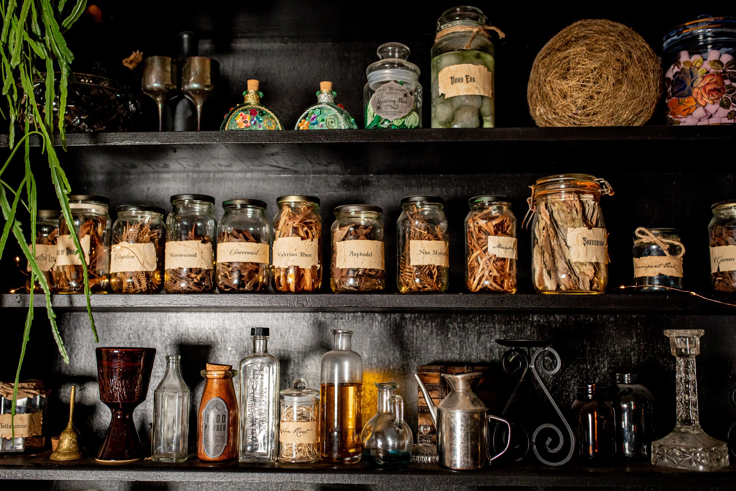 Melbourne's only Fantasy café — True Fairies
