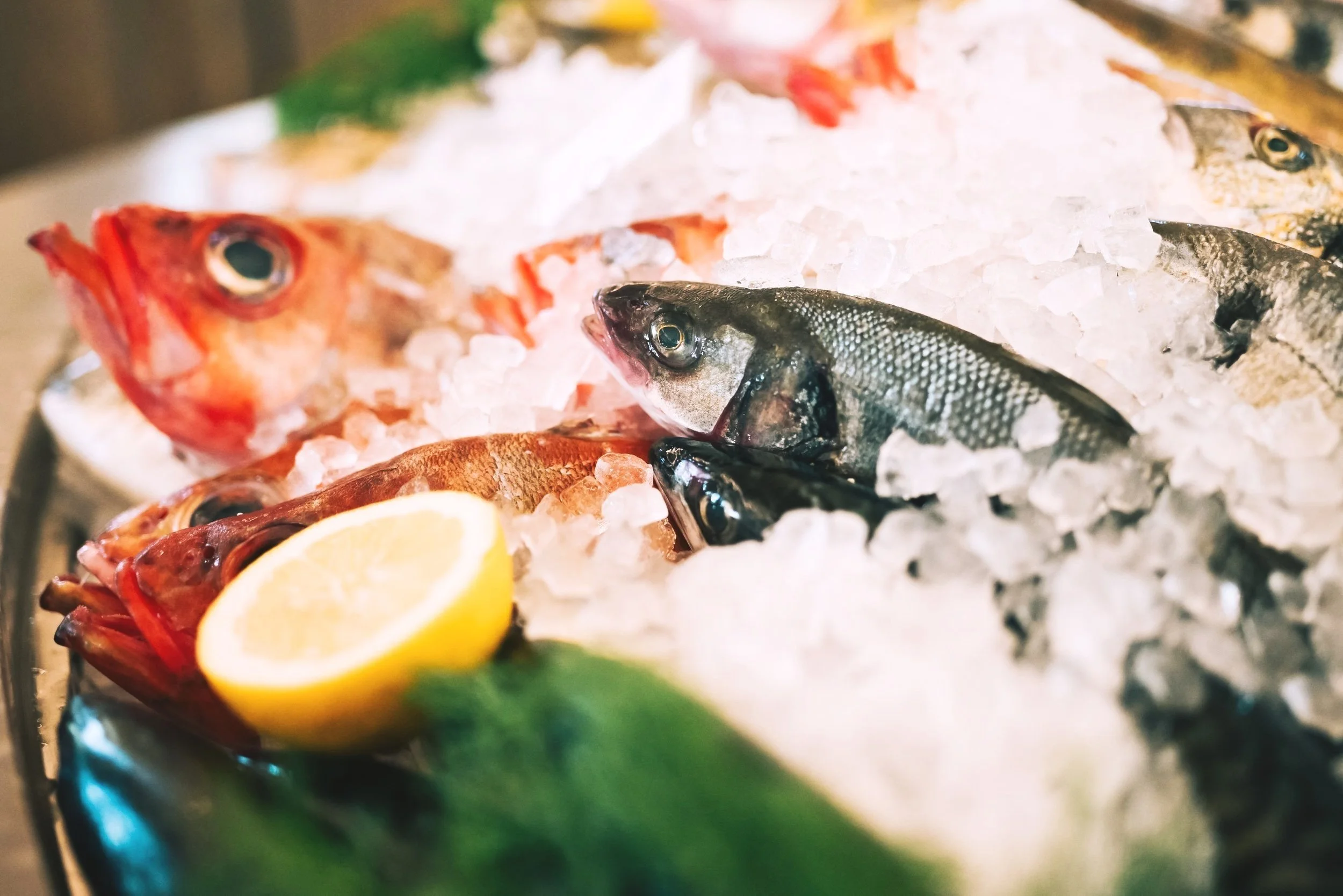 Fiskdiskar — Feskekörka