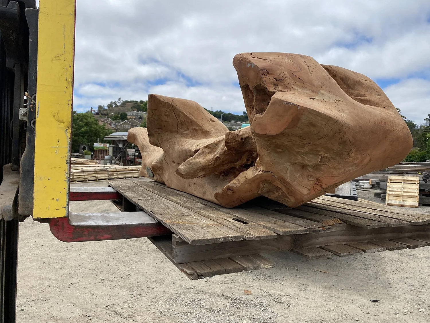 Live Edge Wood Slabs — Heritage Salvage