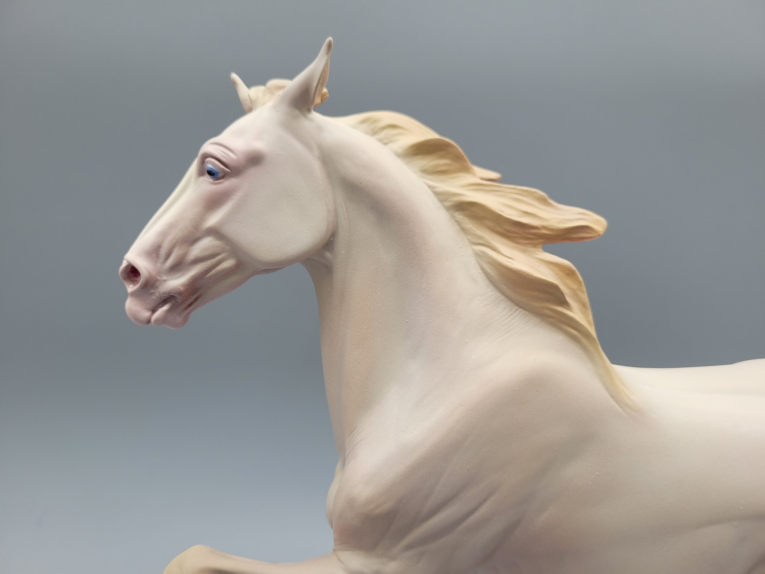 Gallery — Dark Equine Studios