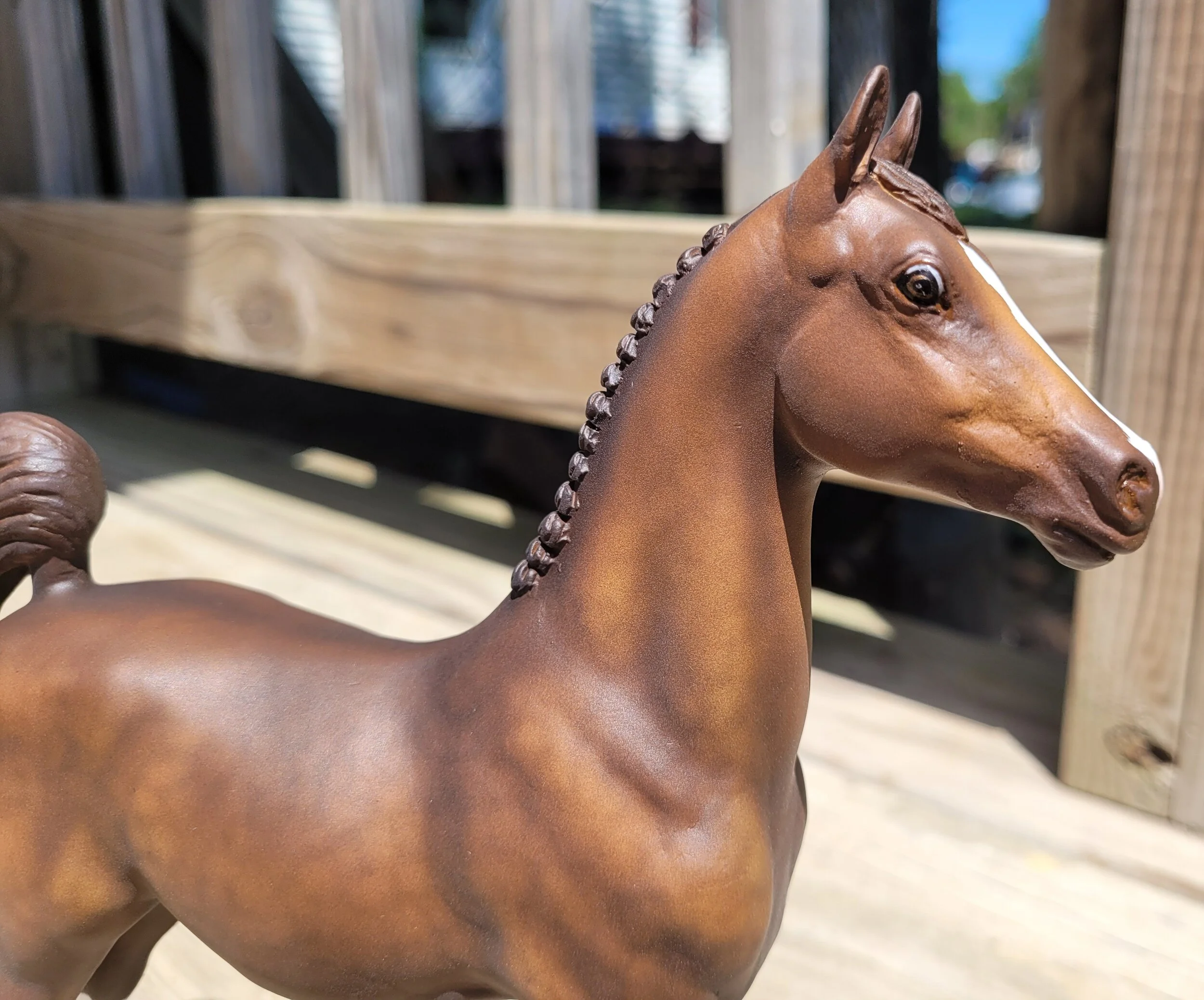 Gallery — Dark Equine Studios