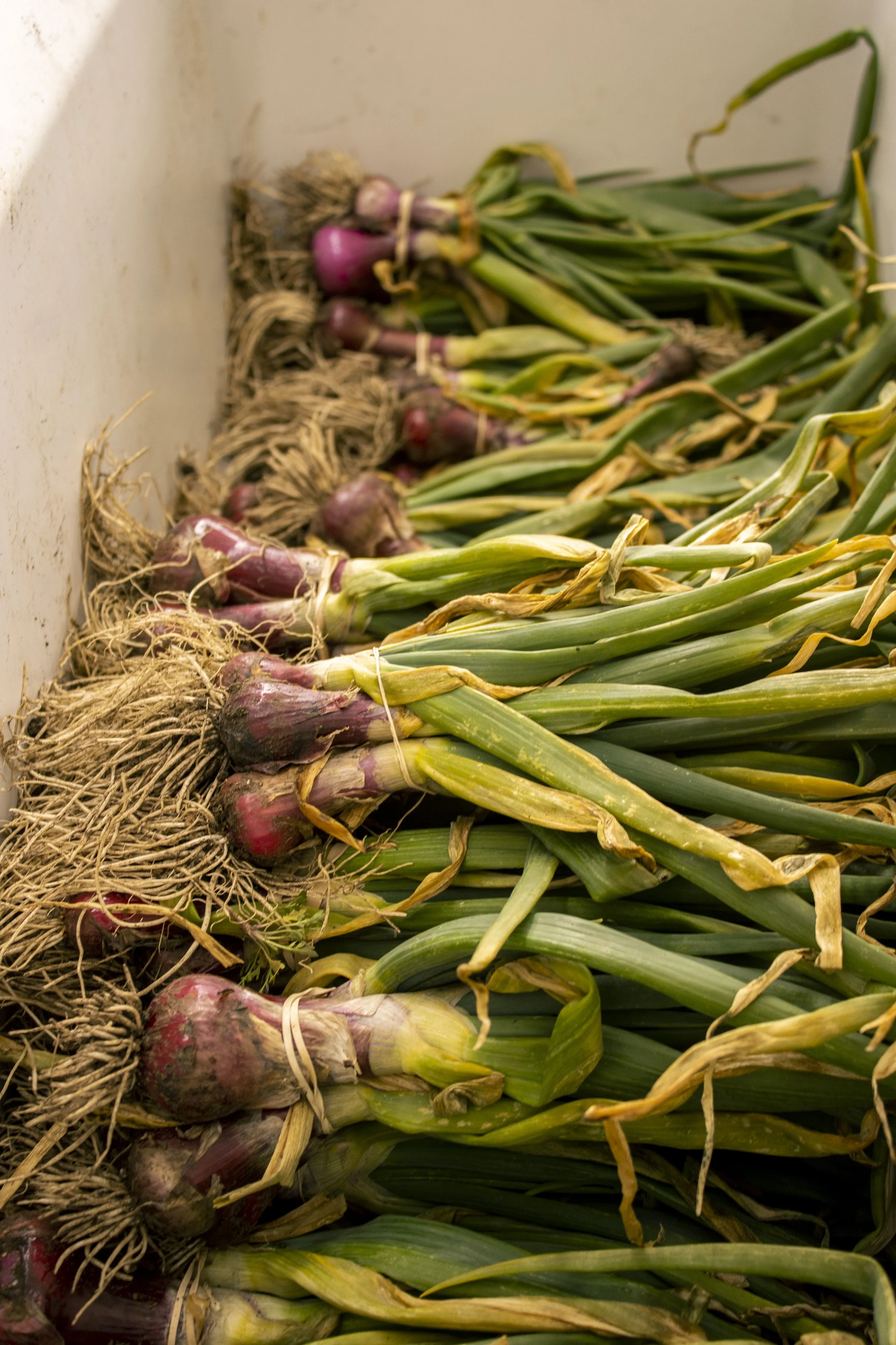 Colorado Local Food Network
