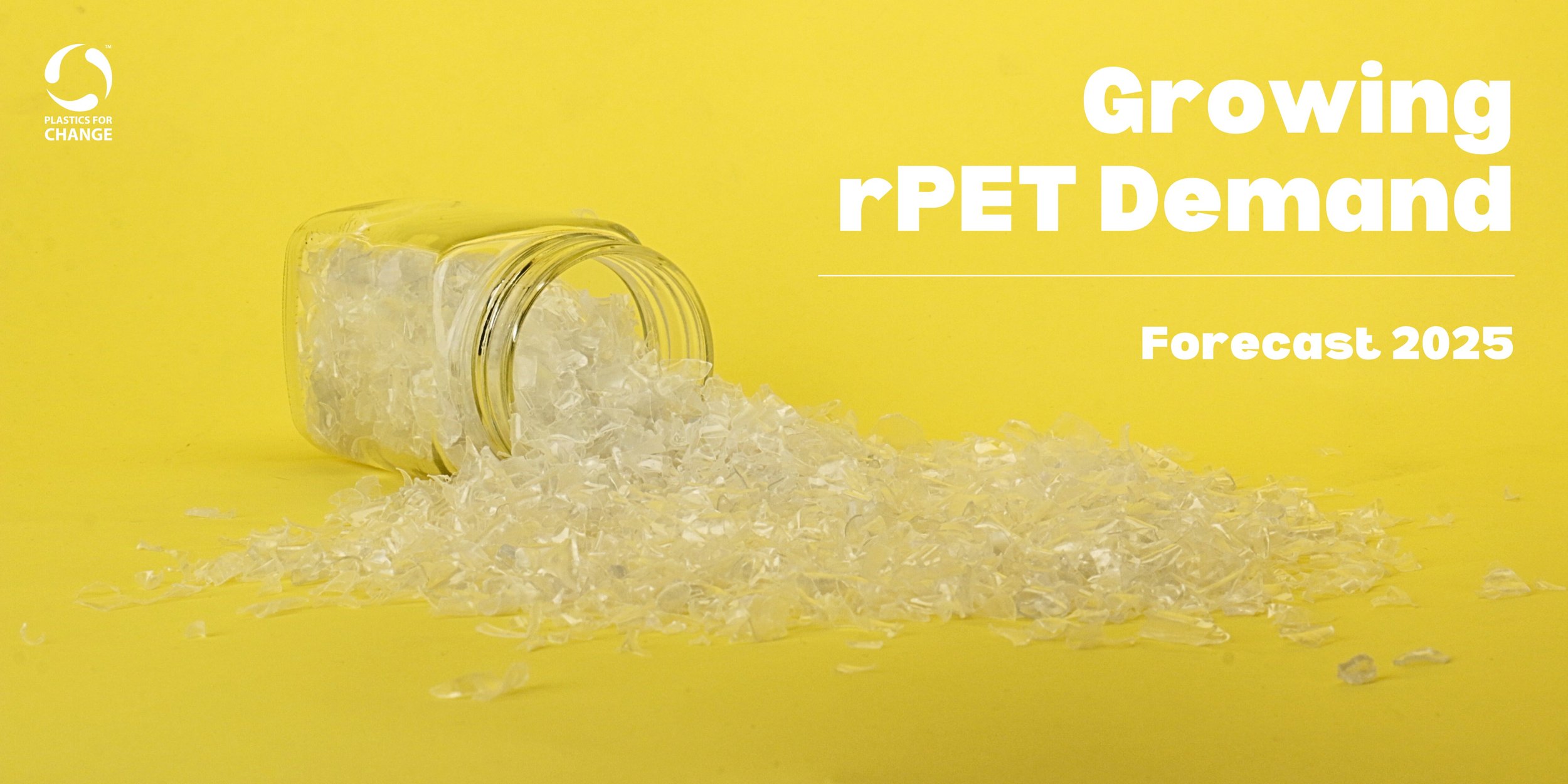 rPET Plastics Shortages: How Businesses Can Secure a Reliable Supply of ...
