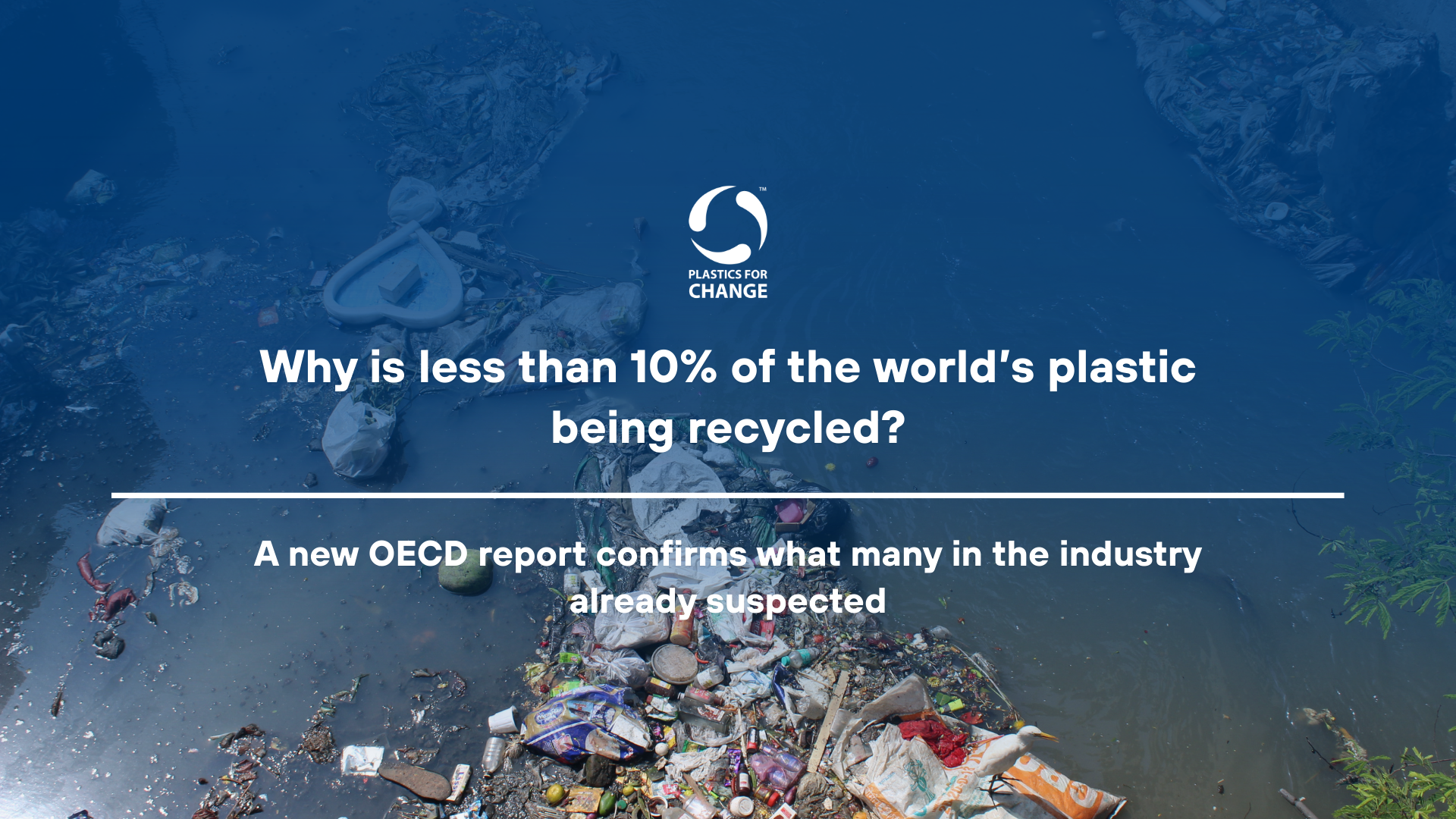 Circular Economy & Sustainability Blog | Plastics for Change | Plastics ...