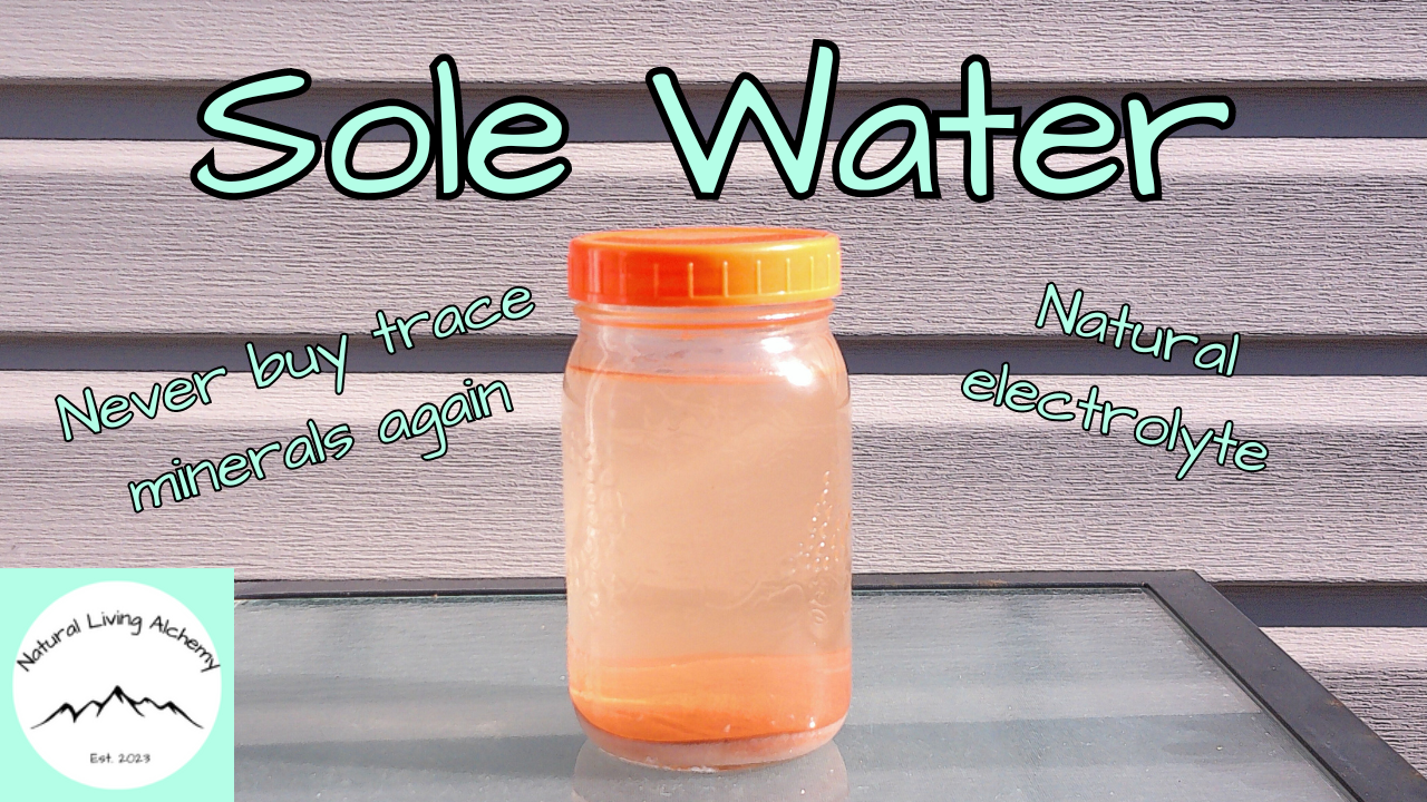 Sole Water for Optimum Health, Hydration & Wellness — Natural Living ...
